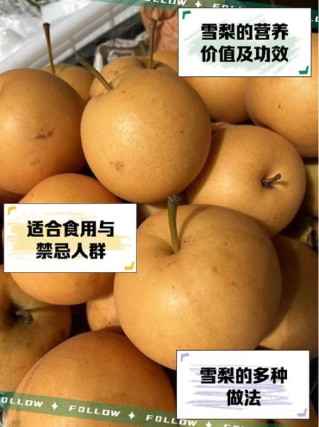 雪梨图片长什么样_如何辨别真假雪梨-第2张图片-山城妙识 雪梨图片长什么样_如何辨别真假雪梨-第2张图片-山城妙识