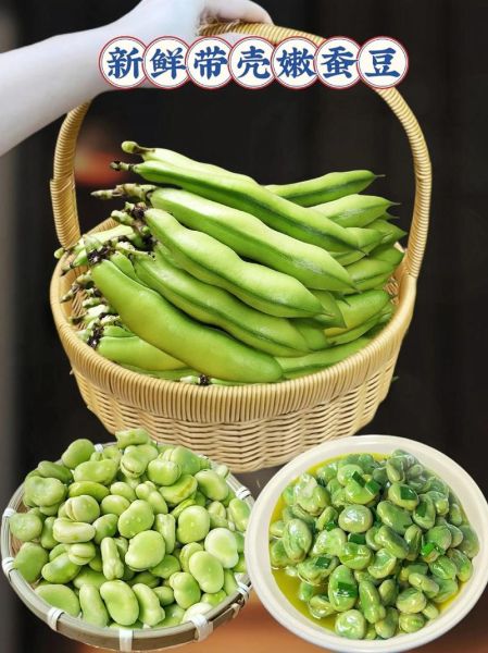 新鲜蚕豆怎么煮才好吃_蚕豆去壳技巧-第2张图片-山城妙识 新鲜蚕豆怎么煮才好吃_蚕豆去壳技巧-第2张图片-山城妙识