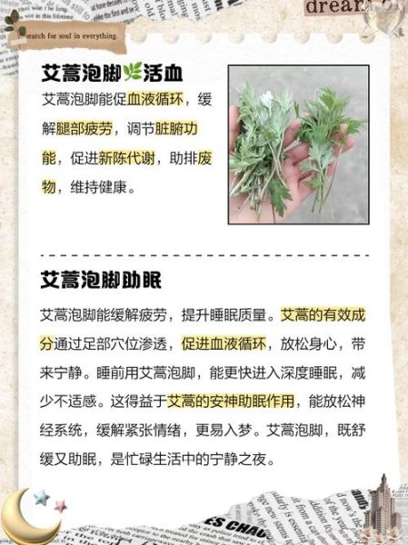 艾草根泡脚有什么好处_艾草根的功效与作用-第3张图片-山城妙识