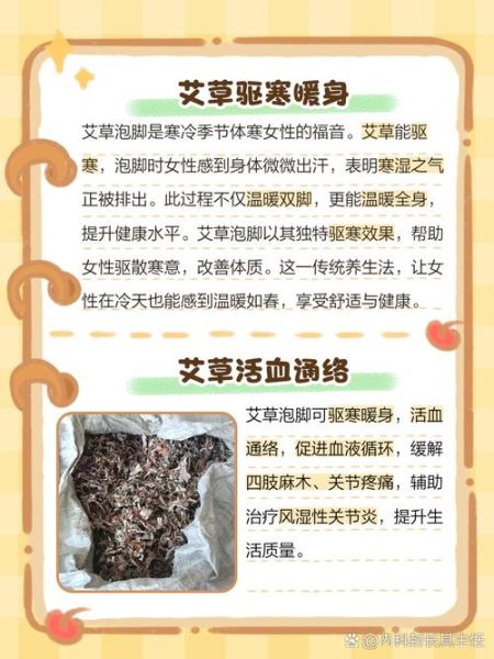 艾草根泡脚有什么好处_艾草根的功效与作用-第2张图片-山城妙识