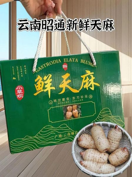 新鲜天麻多少钱一斤_新鲜天麻价格行情-第2张图片-山城妙识 新鲜天麻多少钱一斤_新鲜天麻价格行情-第2张图片-山城妙识