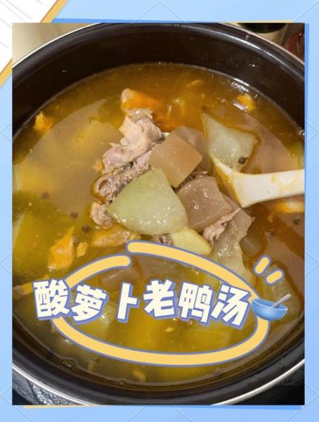 鸭子萝卜汤怎么做_鸭子萝卜汤的做法大全-第2张图片-山城妙识