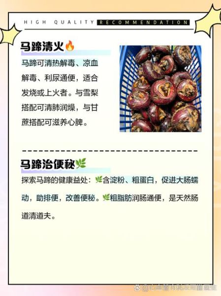 马蹄的营养价值_马蹄可以生吃吗-第1张图片-山城妙识 马蹄的营养价值_马蹄可以生吃吗-第1张图片-山城妙识