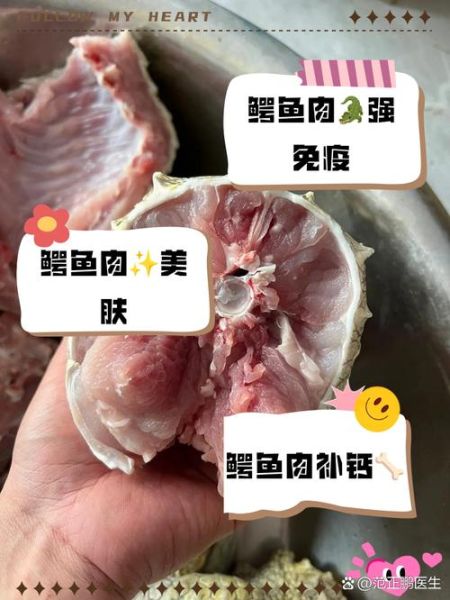 鳄鱼肉怎么做好吃_鳄鱼肉的制作方法-第2张图片-山城妙识 鳄鱼肉怎么做好吃_鳄鱼肉的制作方法-第2张图片-山城妙识