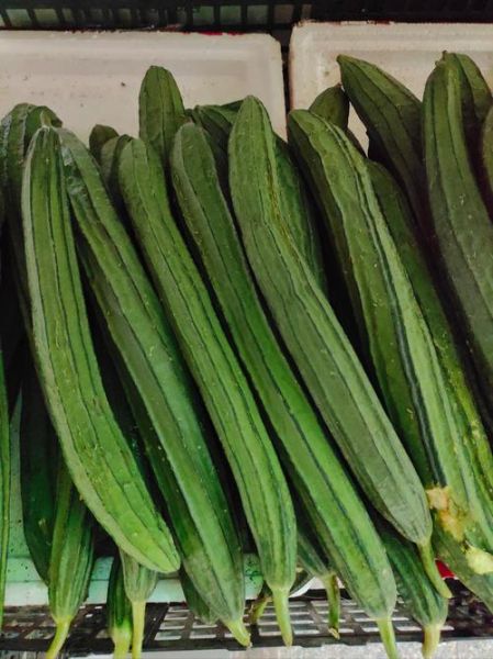 丝瓜品种图片大全_哪种丝瓜最好吃-第1张图片-山城妙识 丝瓜品种图片大全_哪种丝瓜最好吃-第1张图片-山城妙识