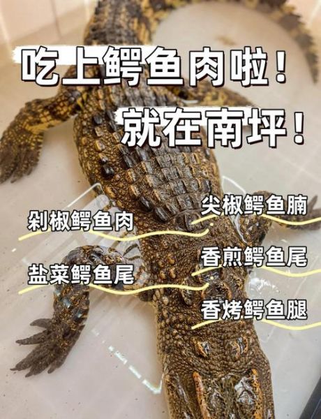 鳄鱼肉怎么做好吃_鳄鱼肉的制作方法-第3张图片-山城妙识 鳄鱼肉怎么做好吃_鳄鱼肉的制作方法-第3张图片-山城妙识