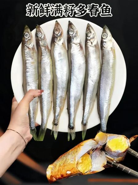 多春鱼怎么去内脏_多春鱼清理内脏最简单方法-第2张图片-山城妙识