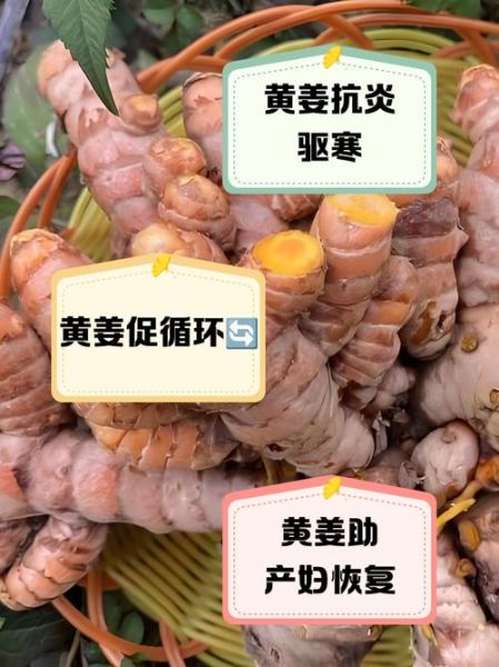 黄姜怎么吃_黄姜的吃法大全-第2张图片-山城妙识 黄姜怎么吃_黄姜的吃法大全-第2张图片-山城妙识