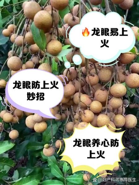 龙眼吃多了会怎么样_会上火吗-第1张图片-山城妙识 龙眼吃多了会怎么样_会上火吗-第1张图片-山城妙识