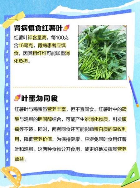 长期吃红薯叶的坏处_红薯叶吃多了有什么危害-第2张图片-山城妙识