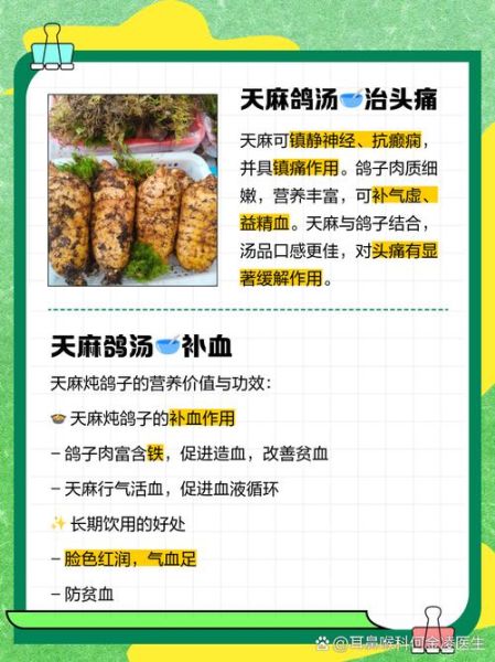 鸽子炖天麻怎么做_天麻炖鸽子的功效与禁忌-第2张图片-山城妙识 鸽子炖天麻怎么做_天麻炖鸽子的功效与禁忌-第2张图片-山城妙识