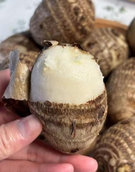 香芋热量高吗_减肥能吃香芋吗-第3张图片-山城妙识 香芋热量高吗_减肥能吃香芋吗-第3张图片-山城妙识