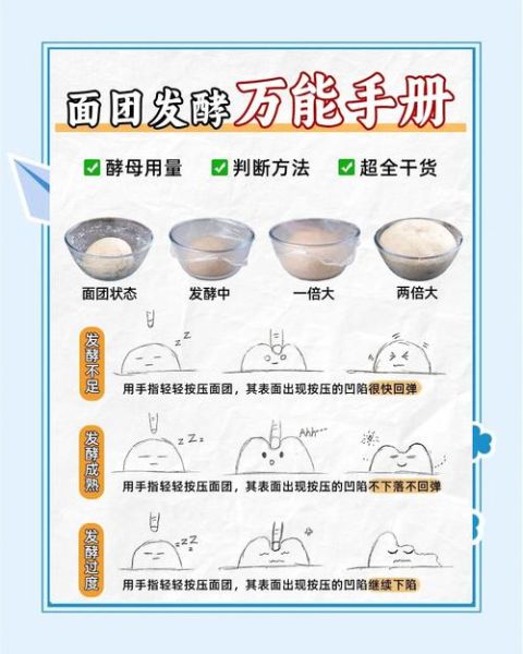 用酵母粉发面需要多久_冬天发面时间怎么缩短-第1张图片-山城妙识