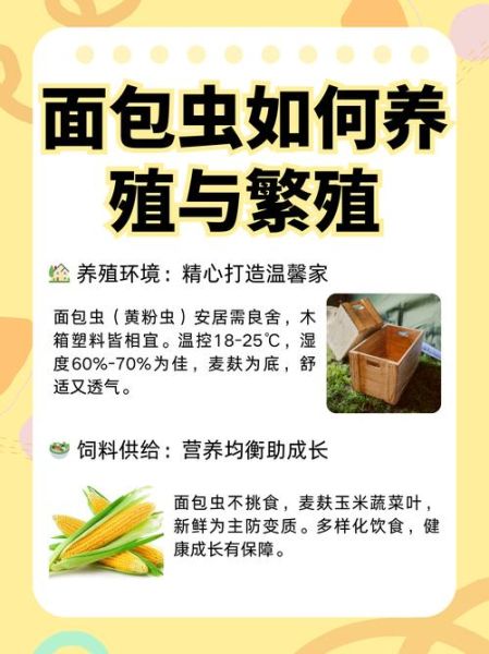 黄粉虫怎么养_黄粉虫价格多少钱一斤-第1张图片-山城妙识