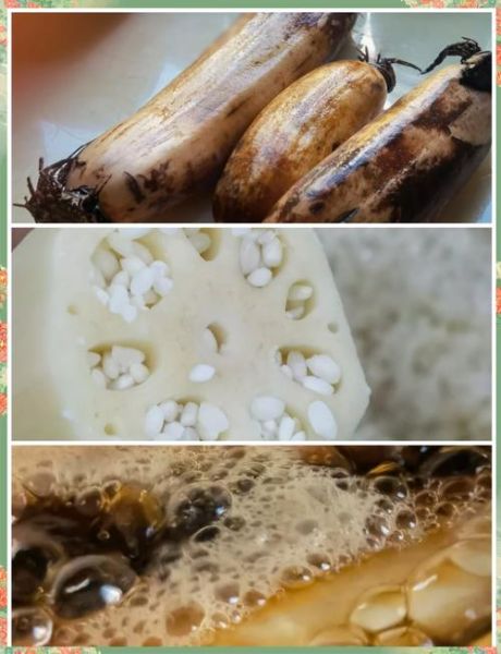 糯米糖藕怎么做_糖藕要煮多久才软糯-第3张图片-山城妙识 糯米糖藕怎么做_糖藕要煮多久才软糯-第3张图片-山城妙识