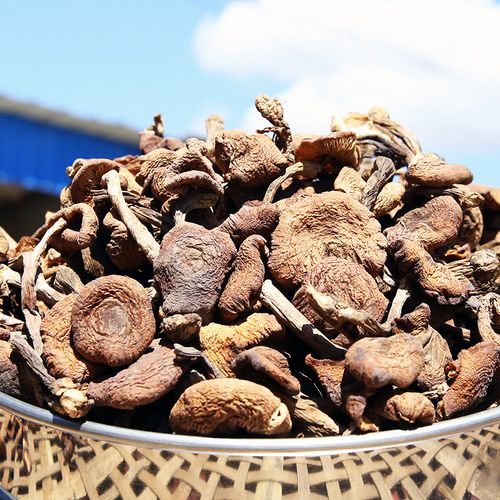 香菇多少钱一斤2020_2020年干香菇价格行情-第3张图片-山城妙识 香菇多少钱一斤2020_2020年干香菇价格行情-第3张图片-山城妙识