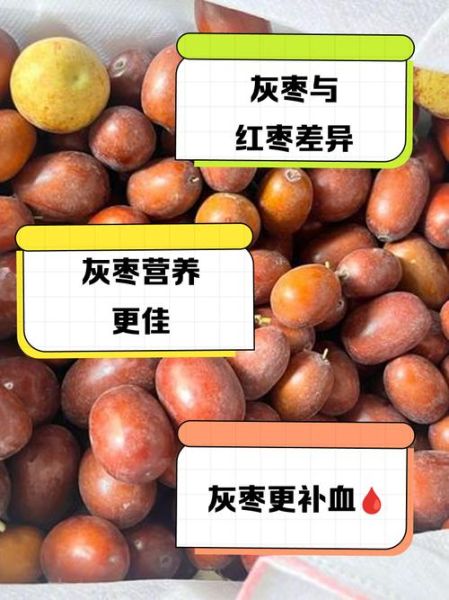 红枣和灰枣哪个好_灰枣和红枣的区别-第2张图片-山城妙识 红枣和灰枣哪个好_灰枣和红枣的区别-第2张图片-山城妙识