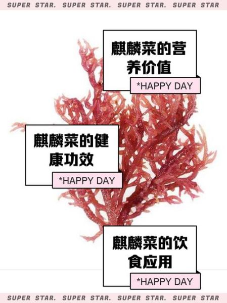 麒麟菜怎么做_麒麟菜的做法步骤-第1张图片-山城妙识 麒麟菜怎么做_麒麟菜的做法步骤-第1张图片-山城妙识