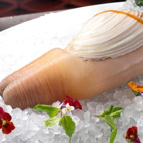 象拔蚌是什么意思_象拔蚌网络梗由来-第2张图片-山城妙识 象拔蚌是什么意思_象拔蚌网络梗由来-第2张图片-山城妙识