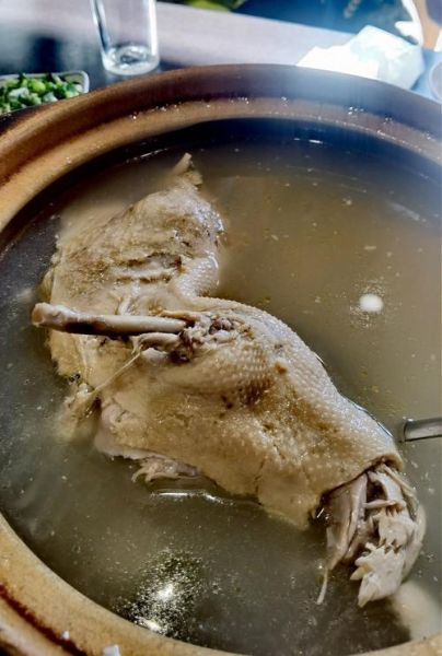 鸭汤的做法大全_鸭汤有什么功效-第1张图片-山城妙识 鸭汤的做法大全_鸭汤有什么功效-第1张图片-山城妙识