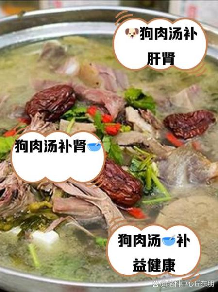 正宗清汤狗肉的做法_如何去除膻味-第1张图片-山城妙识 正宗清汤狗肉的做法_如何去除膻味-第1张图片-山城妙识