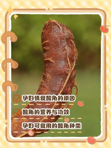 酸角的功效与禁忌_孕妇能吃酸角吗-第3张图片-山城妙识 酸角的功效与禁忌_孕妇能吃酸角吗-第3张图片-山城妙识