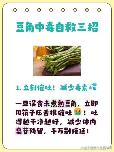 豆角中毒怎么办_豆角中毒最有效的办法-第1张图片-山城妙识 豆角中毒怎么办_豆角中毒最有效的办法-第1张图片-山城妙识