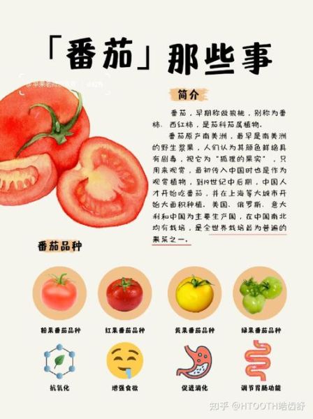 西红柿生吃有什么好处_西红柿生吃能减肥吗-第3张图片-山城妙识 西红柿生吃有什么好处_西红柿生吃能减肥吗-第3张图片-山城妙识