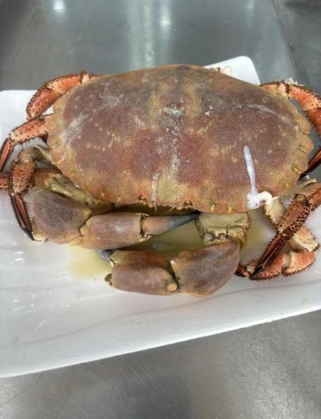 面包蟹怎么蒸好吃_面包蟹蒸多久才鲜嫩-第1张图片-山城妙识 面包蟹怎么蒸好吃_面包蟹蒸多久才鲜嫩-第1张图片-山城妙识