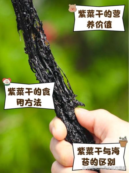 紫菜需要洗吗_干紫菜怎么清洗才干净-第1张图片-山城妙识 紫菜需要洗吗_干紫菜怎么清洗才干净-第1张图片-山城妙识