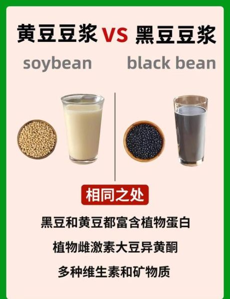 黑豆浆和黄豆浆哪个好_黑豆浆和黄豆浆的区别-第1张图片-山城妙识 黑豆浆和黄豆浆哪个好_黑豆浆和黄豆浆的区别-第1张图片-山城妙识