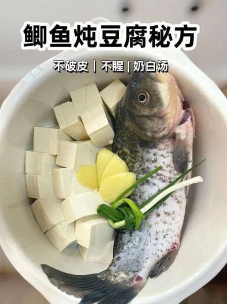 鲢鱼炖豆腐汤怎么做_鲢鱼炖豆腐汤的功效-第1张图片-山城妙识 鲢鱼炖豆腐汤怎么做_鲢鱼炖豆腐汤的功效-第1张图片-山城妙识