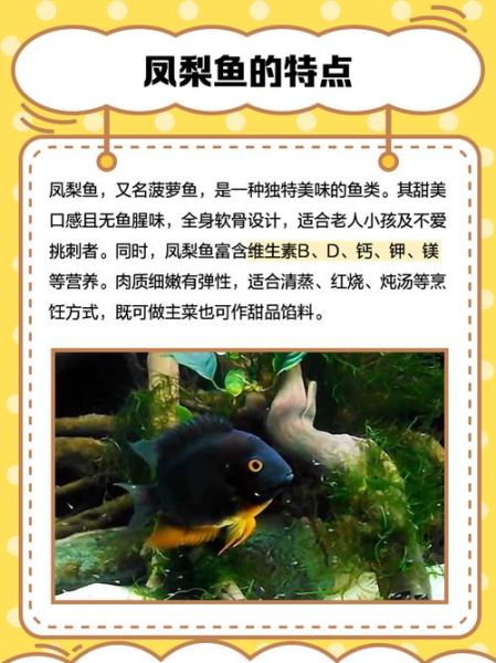 菠萝鱼好养吗_菠萝鱼饲养难度-第1张图片-山城妙识 菠萝鱼好养吗_菠萝鱼饲养难度-第1张图片-山城妙识