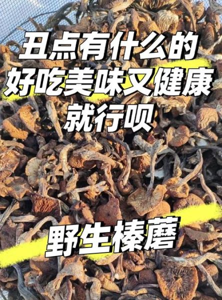 松蘑炖鸡和榛蘑炖鸡哪个好吃_口感区别在哪-第1张图片-山城妙识 松蘑炖鸡和榛蘑炖鸡哪个好吃_口感区别在哪-第1张图片-山城妙识