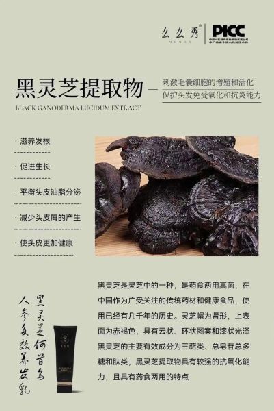 黑灵芝的功效与作用_黑灵芝怎么吃效果最好-第1张图片-山城妙识 黑灵芝的功效与作用_黑灵芝怎么吃效果最好-第1张图片-山城妙识