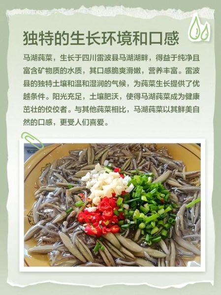 莼怎么读_莼菜发音详解-第1张图片-山城妙识 莼怎么读_莼菜发音详解-第1张图片-山城妙识