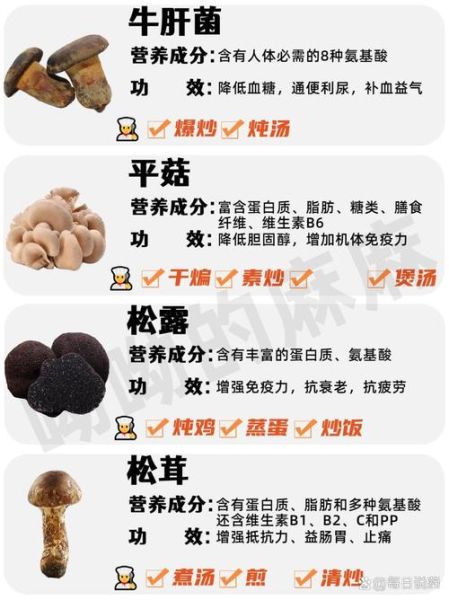 食用菌种类有哪些_常见食用菌营养价值对比-第3张图片-山城妙识 食用菌种类有哪些_常见食用菌营养价值对比-第3张图片-山城妙识