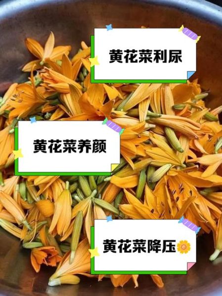 黄花菜和什么搭配最好_黄花菜不能和什么一起吃-第2张图片-山城妙识 黄花菜和什么搭配最好_黄花菜不能和什么一起吃-第2张图片-山城妙识