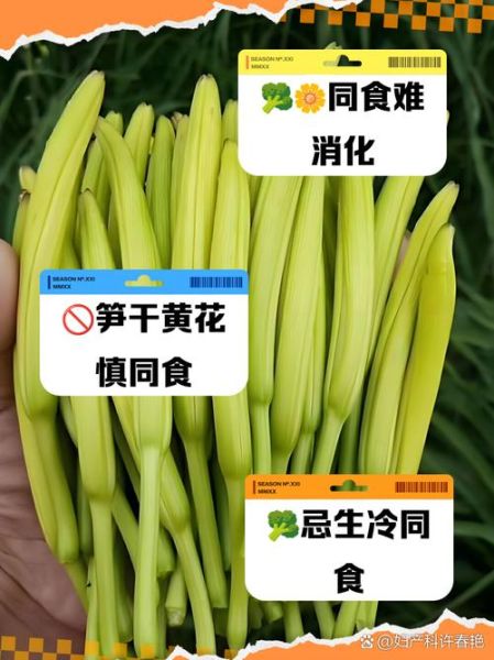 黄花菜和什么搭配最好_黄花菜不能和什么一起吃-第3张图片-山城妙识 黄花菜和什么搭配最好_黄花菜不能和什么一起吃-第3张图片-山城妙识