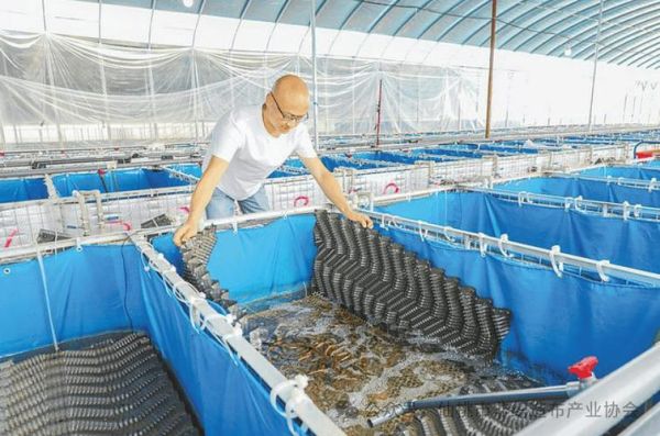 鳝鱼养殖基地选址条件_鳝鱼养殖基地如何建设-第3张图片-山城妙识