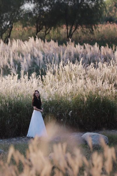 芦苇图片大全大图_如何拍摄高清芦苇-第2张图片-山城妙识 芦苇图片大全大图_如何拍摄高清芦苇-第2张图片-山城妙识