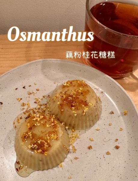 藕粉桂花糖糕红楼梦_做法与典故-第2张图片-山城妙识 藕粉桂花糖糕红楼梦_做法与典故-第2张图片-山城妙识