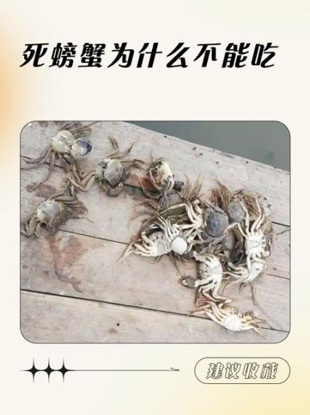 螃蟹死了能不能吃了_死了的螃蟹多久不能吃-第1张图片-山城妙识 螃蟹死了能不能吃了_死了的螃蟹多久不能吃-第1张图片-山城妙识