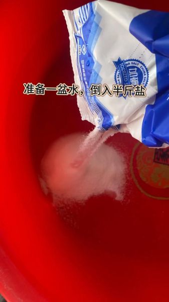 酱油腌蒜头怎么做_酱油腌蒜头能放多久-第3张图片-山城妙识 酱油腌蒜头怎么做_酱油腌蒜头能放多久-第3张图片-山城妙识