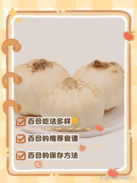 鲜百合怎么吃法最好_鲜百合怎么吃最营养-第1张图片-山城妙识 鲜百合怎么吃法最好_鲜百合怎么吃最营养-第1张图片-山城妙识