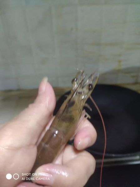 虾是用清水泡还是盐水_虾泡多久才干净-第1张图片-山城妙识 虾是用清水泡还是盐水_虾泡多久才干净-第1张图片-山城妙识