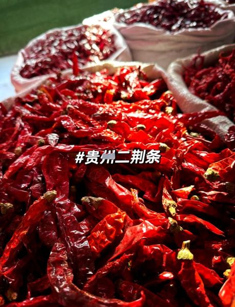 二荆条辣椒辣不辣_二荆条辣椒怎么做好吃-第2张图片-山城妙识