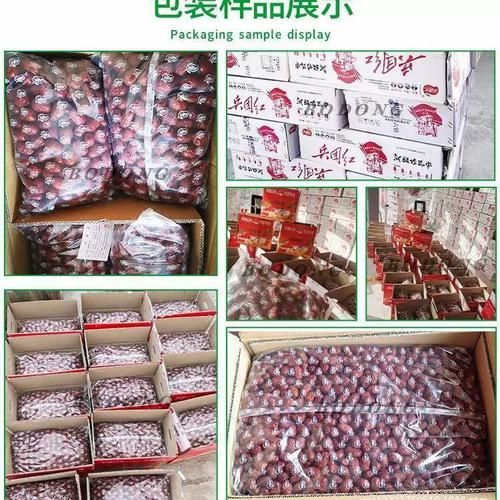 角瓜子图片_角瓜子怎么分辨真假-第1张图片-山城妙识 角瓜子图片_角瓜子怎么分辨真假-第1张图片-山城妙识