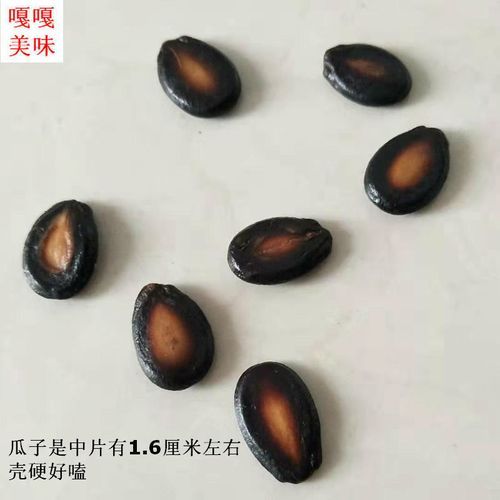 角瓜子图片_角瓜子怎么分辨真假-第2张图片-山城妙识 角瓜子图片_角瓜子怎么分辨真假-第2张图片-山城妙识