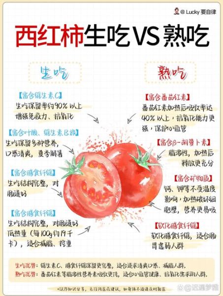 西红柿什么时候吃最好_空腹能吃吗-第3张图片-山城妙识 西红柿什么时候吃最好_空腹能吃吗-第3张图片-山城妙识